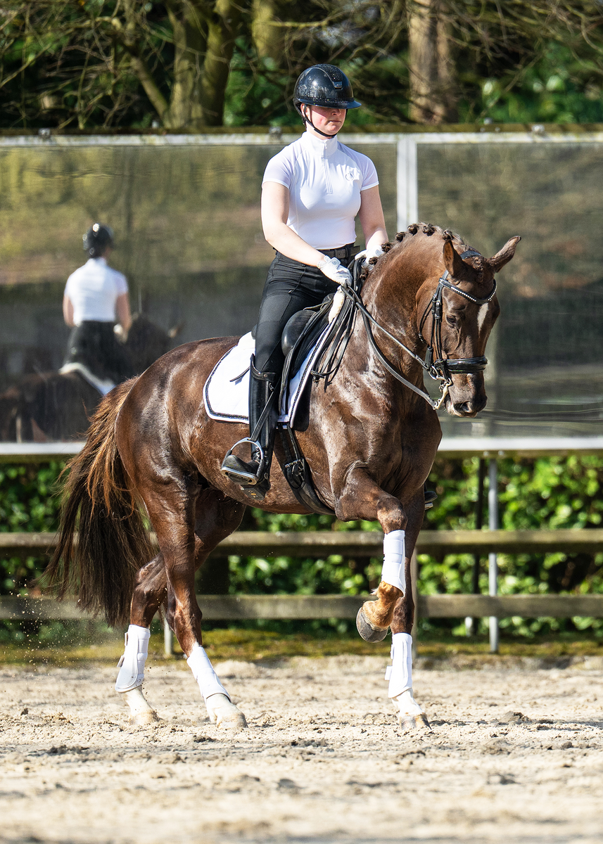 The LuxAir White Mesh Tendon Boots – Eloquence Equestrian